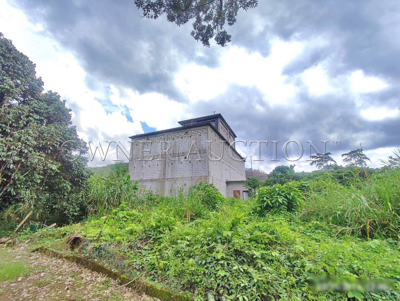 Buy Agricultural Land with Swiftlet House Selling Together [Road ...