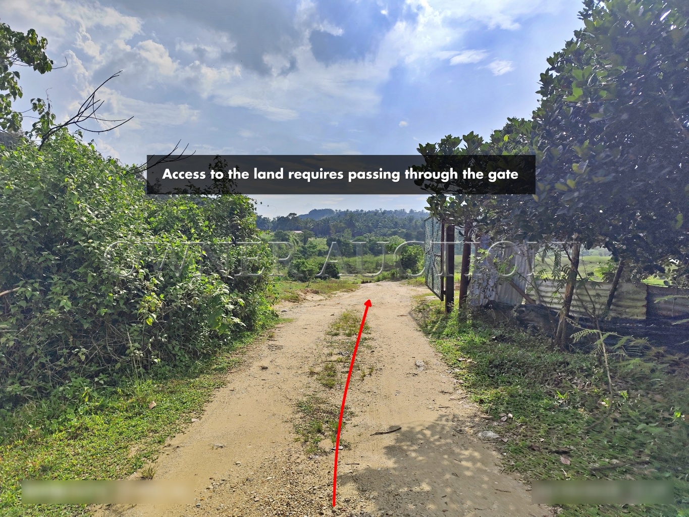 Buy [Consists of reserved road] Agricultural Land Perfect for Tourism ...