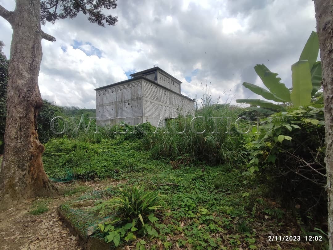 Buy Agricultural Land with Swiftlet House Selling Together [Road ...