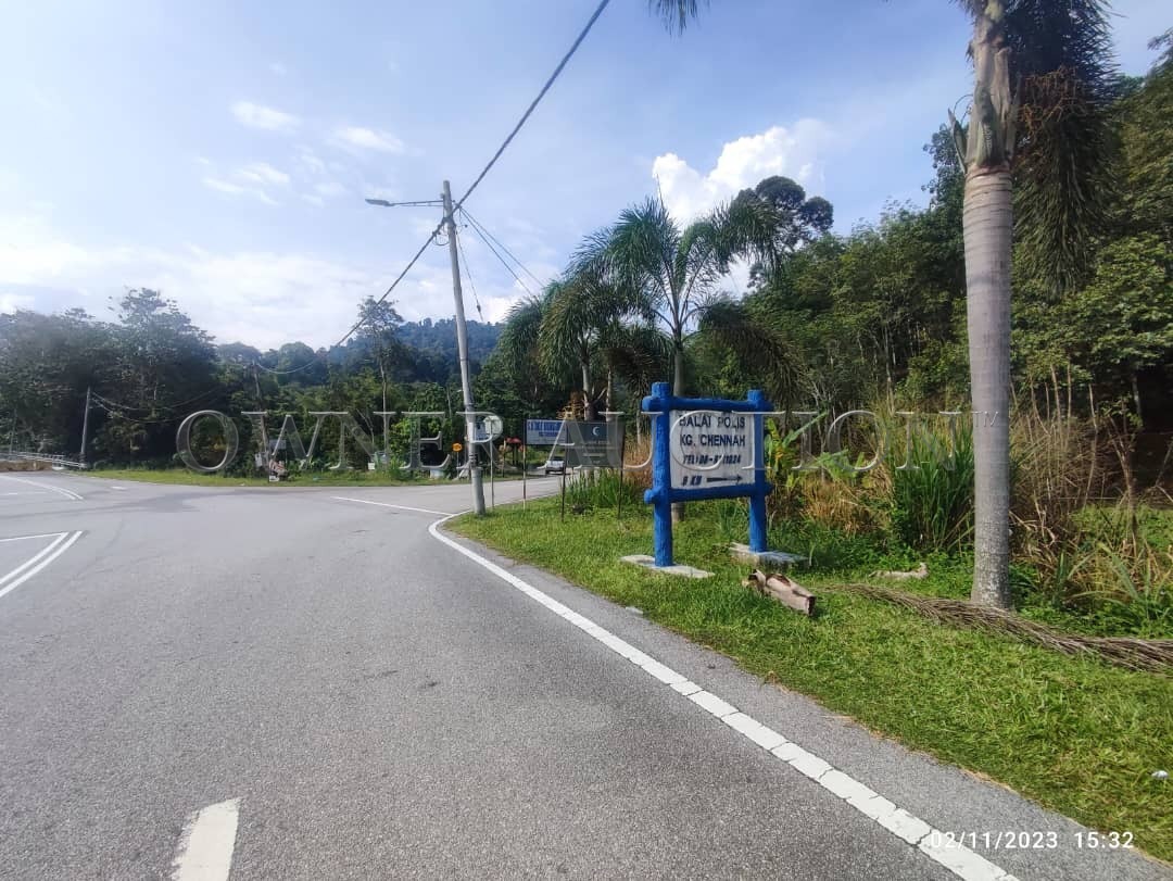 Buy Agricultural Land with Swiftlet House Selling Together [Road ...